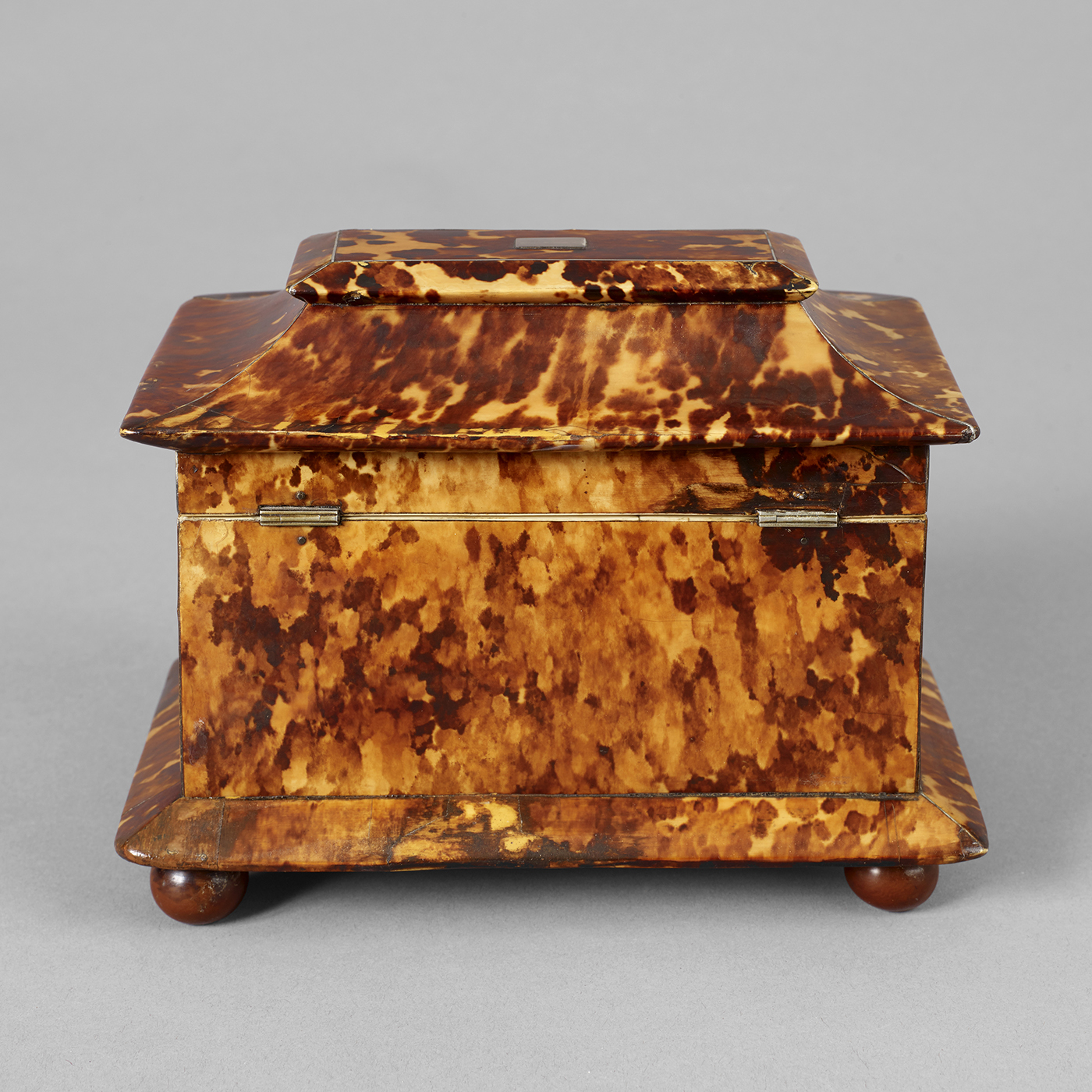 Tortoise-Shell Tea Caddy • Jeffrey Tillou Antiques